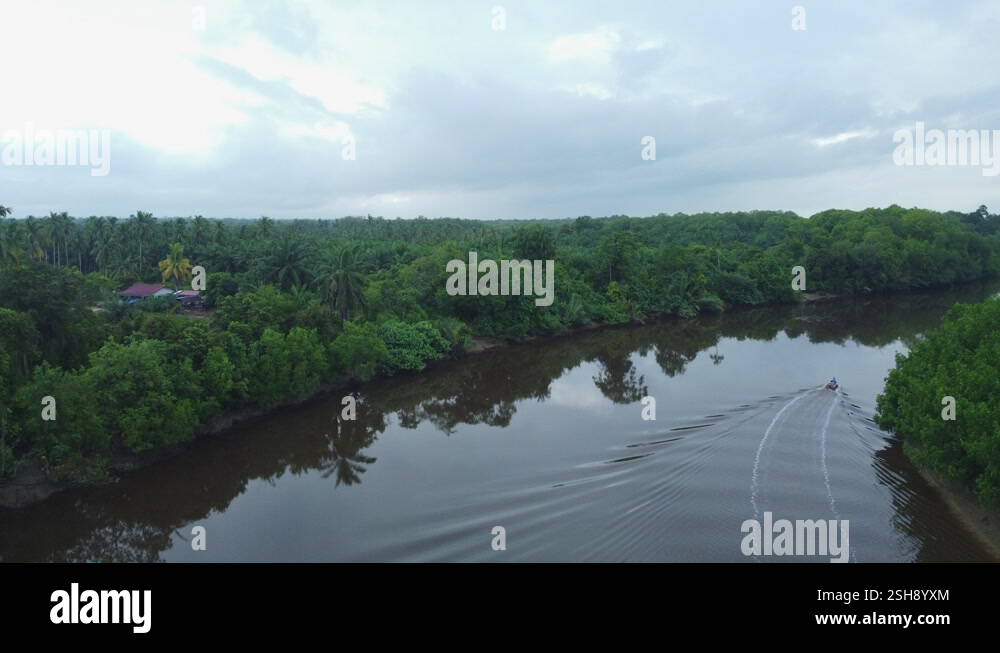 Speed boat over the river in Rompin Pahang, Malaysia. oil palm ...