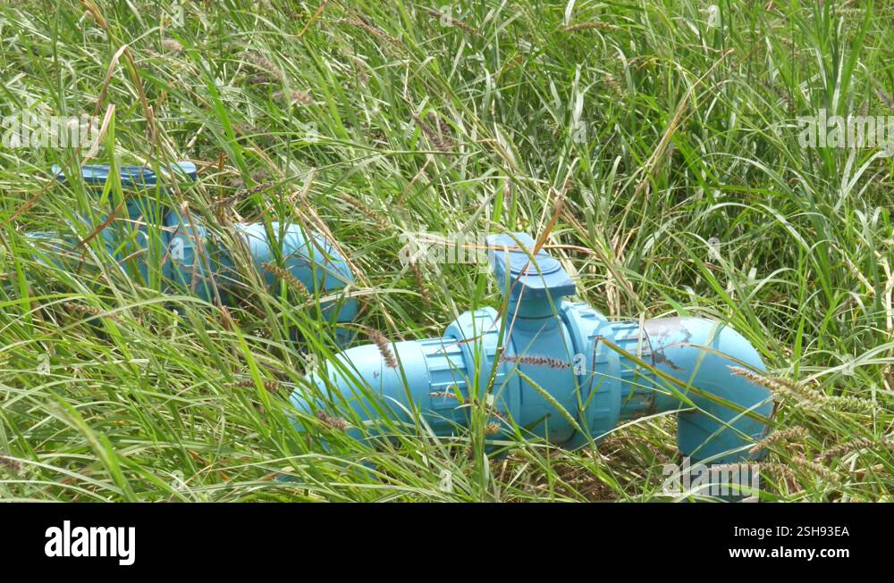 Water saving drip irrigation Stock Videos & Footage - HD and 4K Video ...