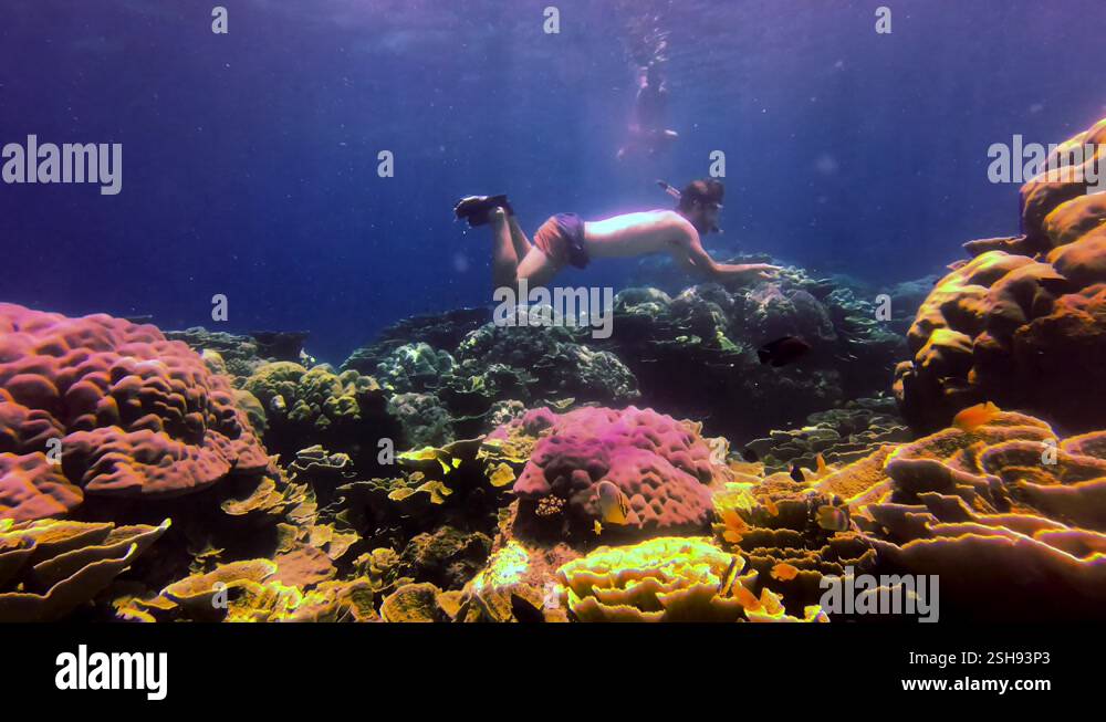 Man swimming in coral reefs Stock Videos & Footage - HD and 4K Video ...