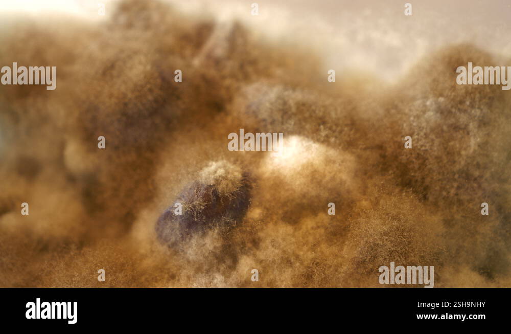 White fluffy mold Stock Videos & Footage - HD and 4K Video Clips - Alamy