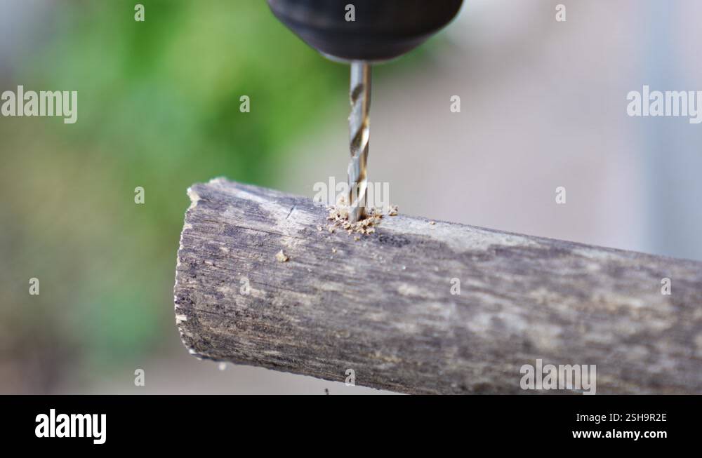 Hedge construction Stock Videos & Footage - HD and 4K Video Clips - Alamy