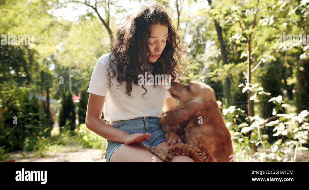 Woman playing with her dog. hugs, kiss and pose nicely. Human animal ...