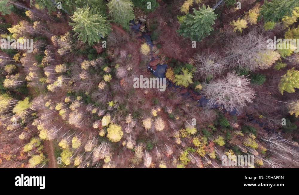 Top down view forest river Stock Videos & Footage - HD and 4K Video ...