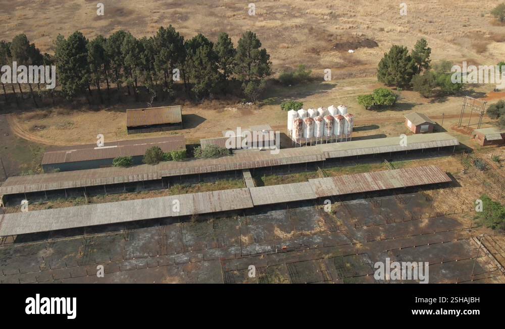 Feeding pens Stock Videos & Footage - HD and 4K Video Clips - Alamy