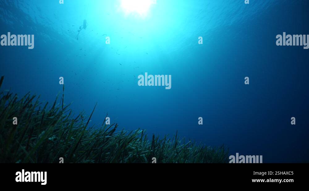 sun ray and sun beam scenery underwater slow ocean scenery backgrounds ...