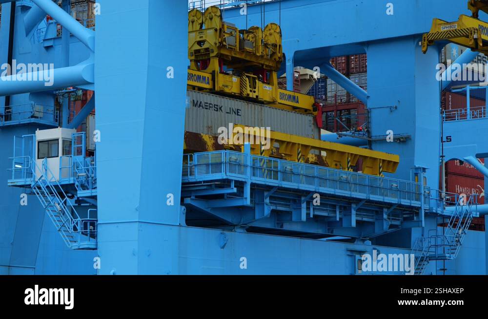 Automated Gantry Crane Unloading Container At APM Maasvlakte Terminal ...
