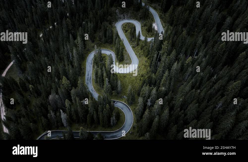 Snake cars Stock Videos & Footage - HD and 4K Video Clips - Alamy