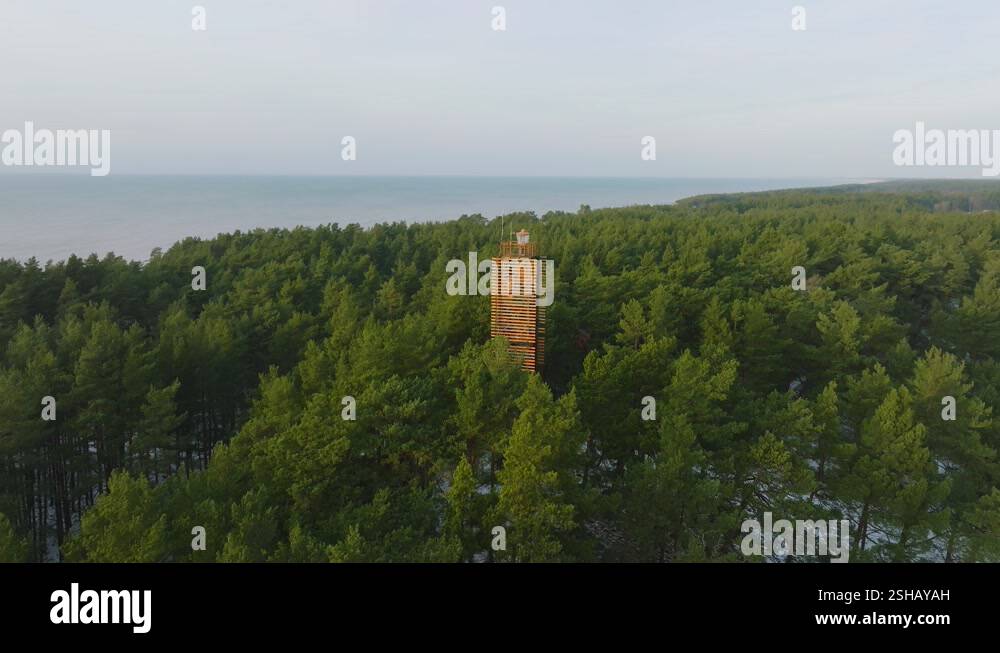 Aerial view of Bernati lighthouse surrounded by lush green pine tree ...