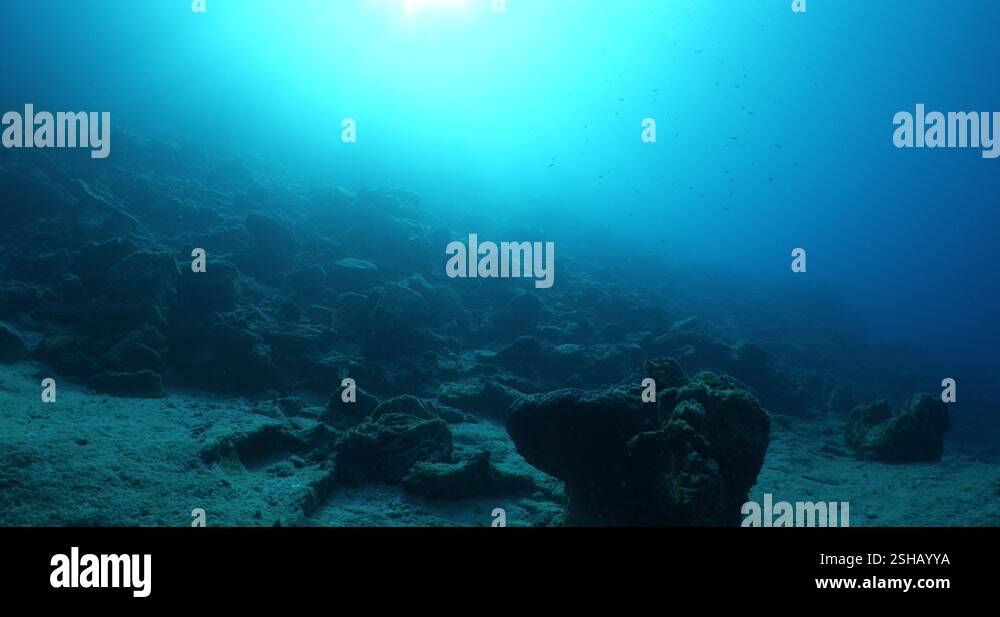 sun ray and sun beam scenery underwater slow ocean scenery backgrounds ...