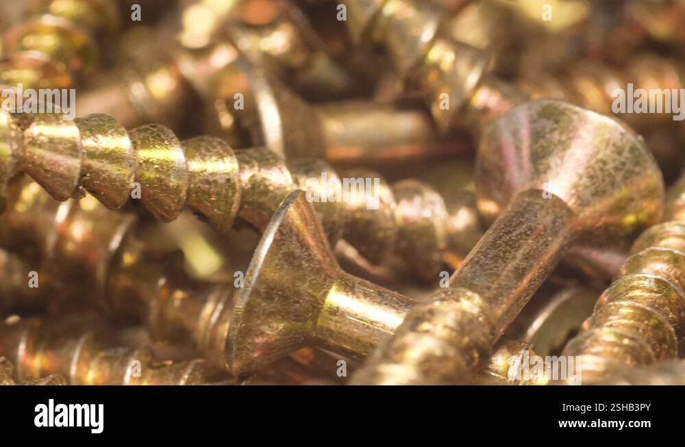 Macro shot of carpentry screws with a cross-shaped head. Building ...