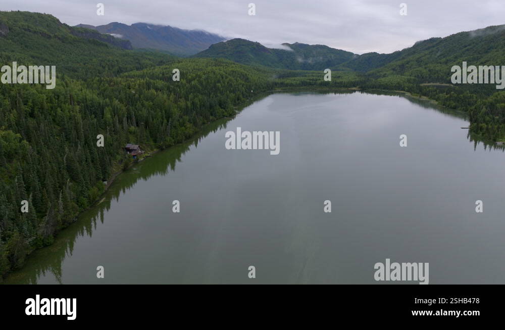 Aerial Panning Shot Of Green Trees In Forest Of Denali Preserve, Drone ...