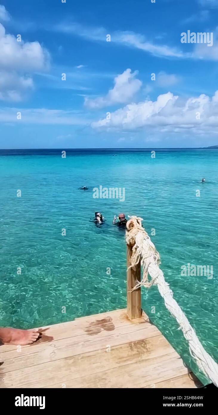 young men in swimshort sitting on a wooden bier at Curacao Caribbean ...