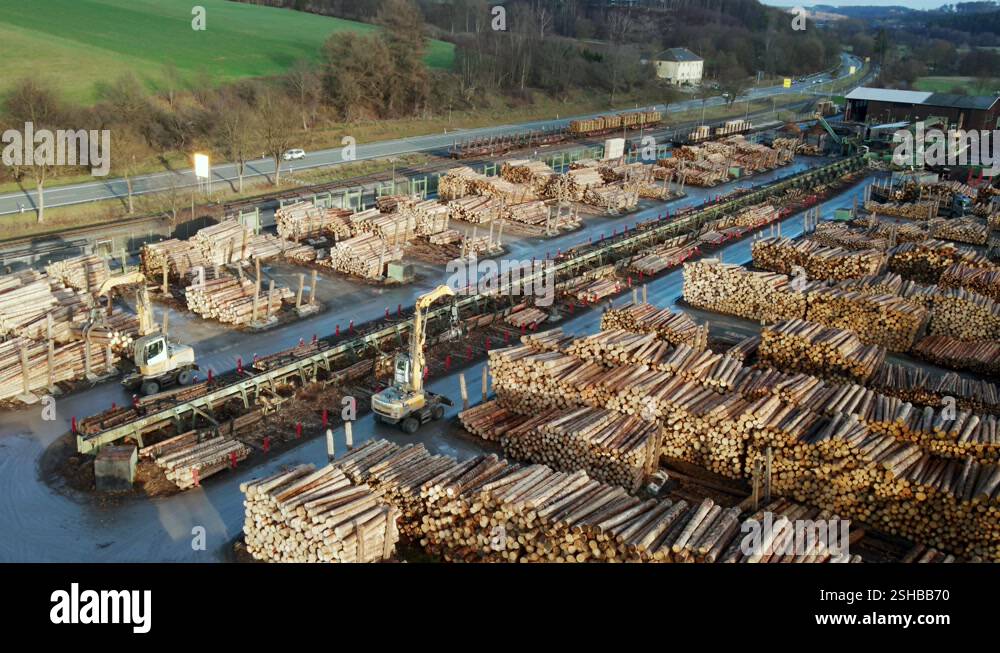 An Aerial View of Log Loader sorting the logs which coming out of the ...