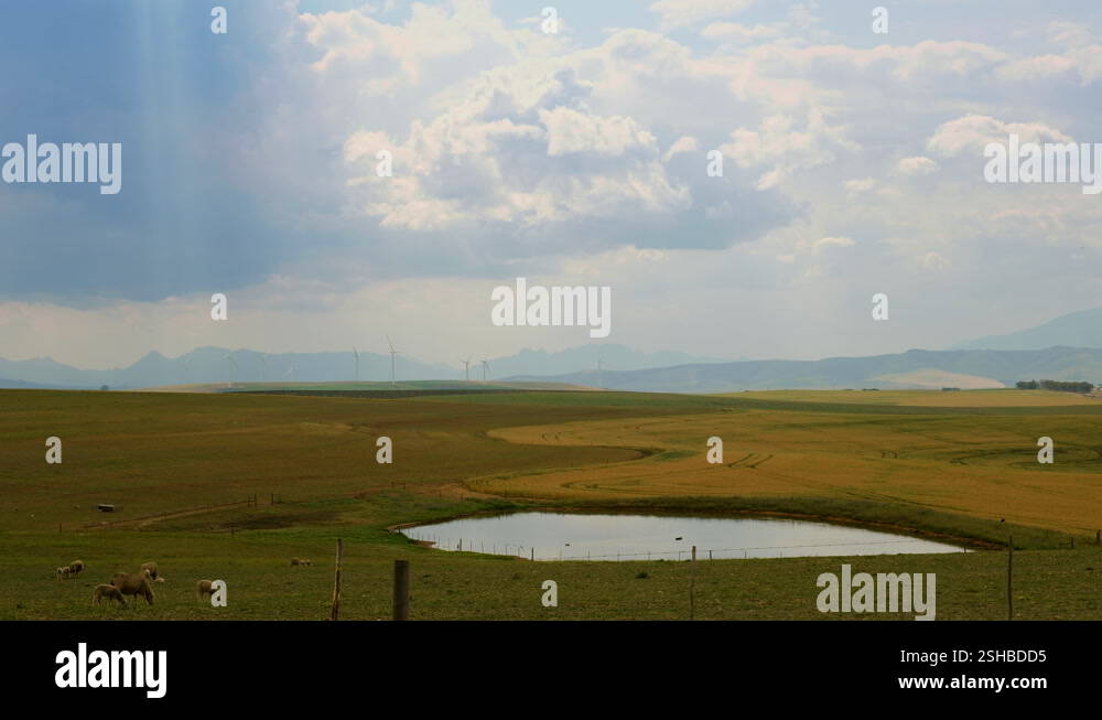 Scenic clouds and light over wind farm on Overberg farm land, sheep ...