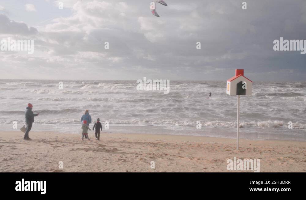 Back view of family near the North Sea, watching kiteboarder on windy ...