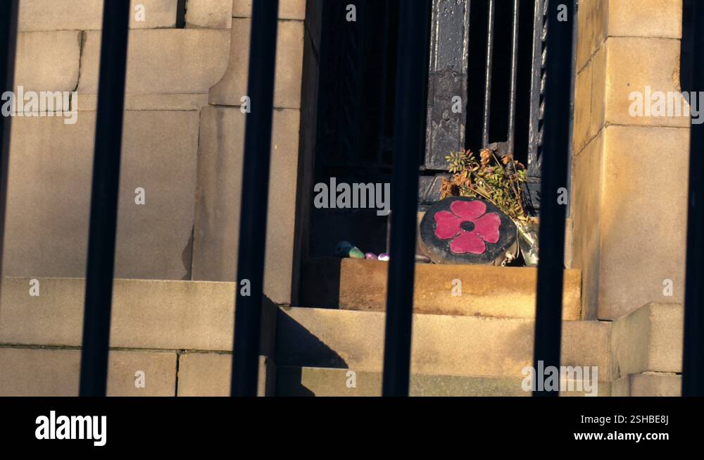 World War poppy memorial behind metal fence Stock Video Footage - Alamy
