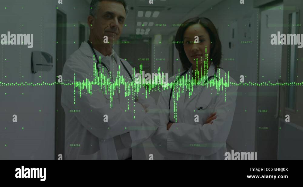 Animation of data processing over diverse male and female doctors ...