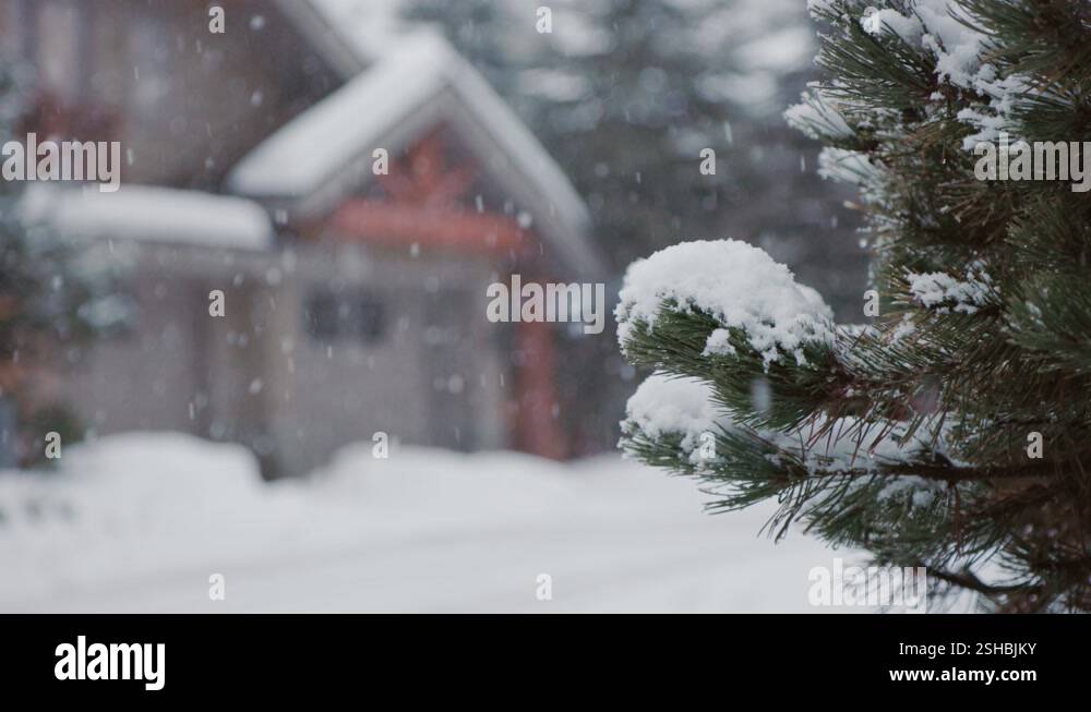 Alpine homes at the foot of Whistler Mountain, snow falling trees ...