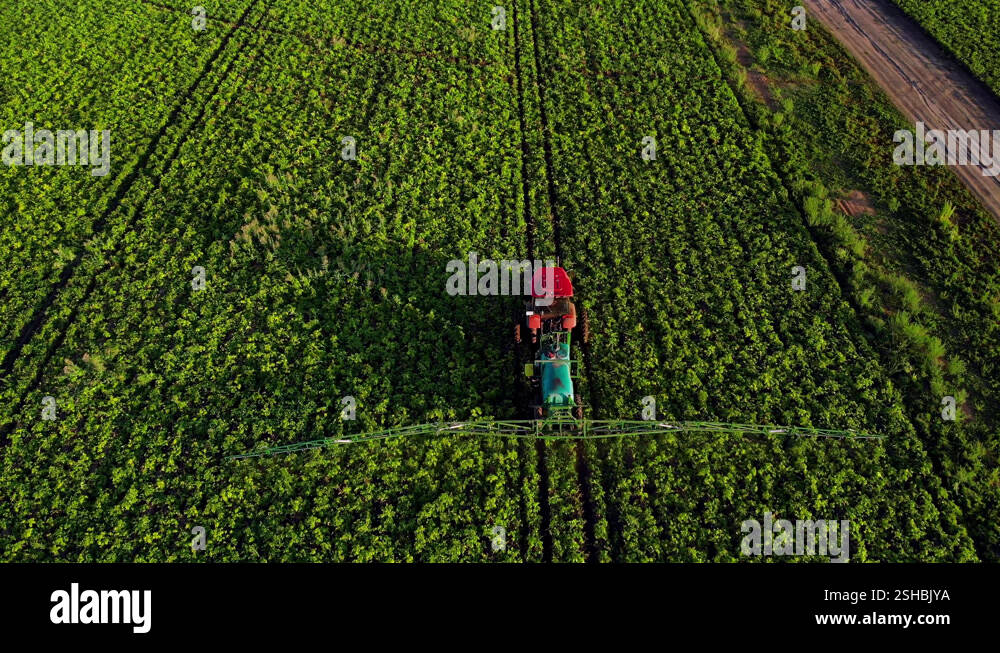 Top aerial view process of spraying with chemicals and pesticides ...