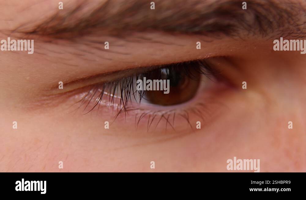 The brown-eyed eye of a young man. An attentive and serious look of a ...