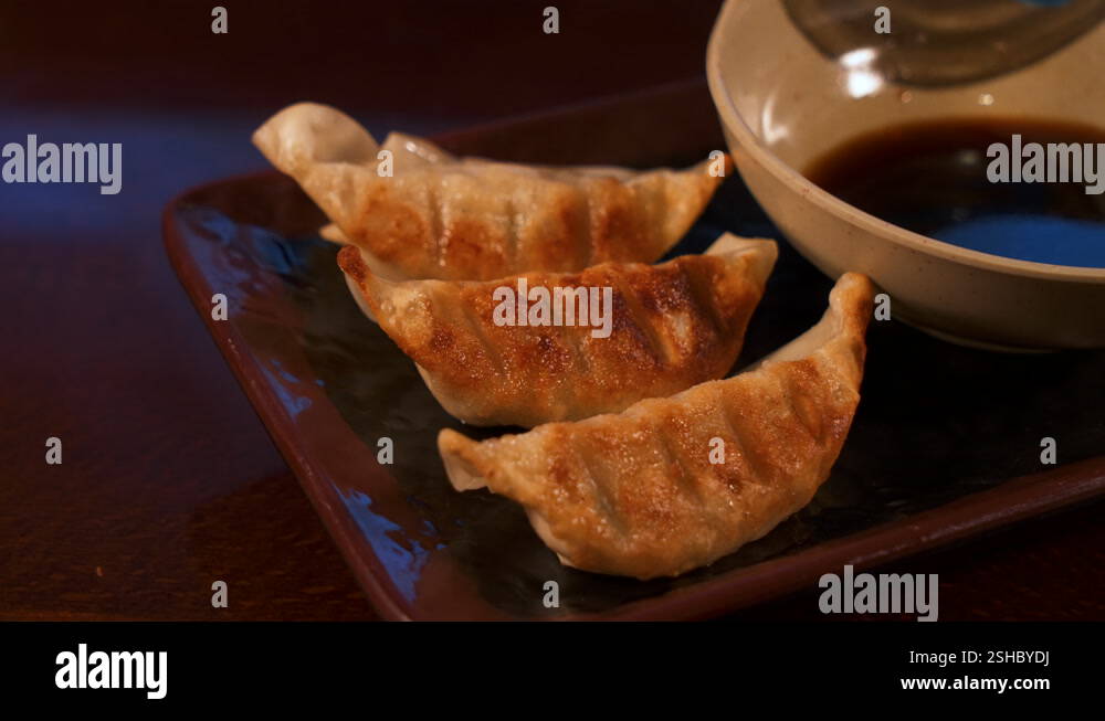 Restaurant gyoza pan fried dumpling pot stickers plated with soy ...