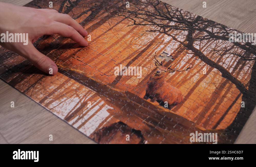 Putting final jigsaw puzzle pieces, side Stock Video Footage - Alamy