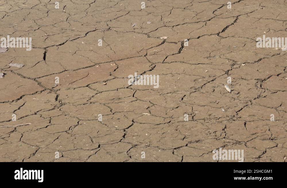 Water Crisis, Aridity in Mountain River, Drought Natural Calamity, No ...