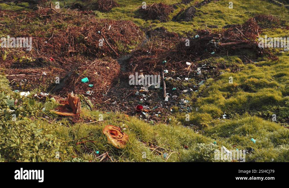 Shot Revealing Pollution In green Nature, Trash, Machachi, Ecuador ...