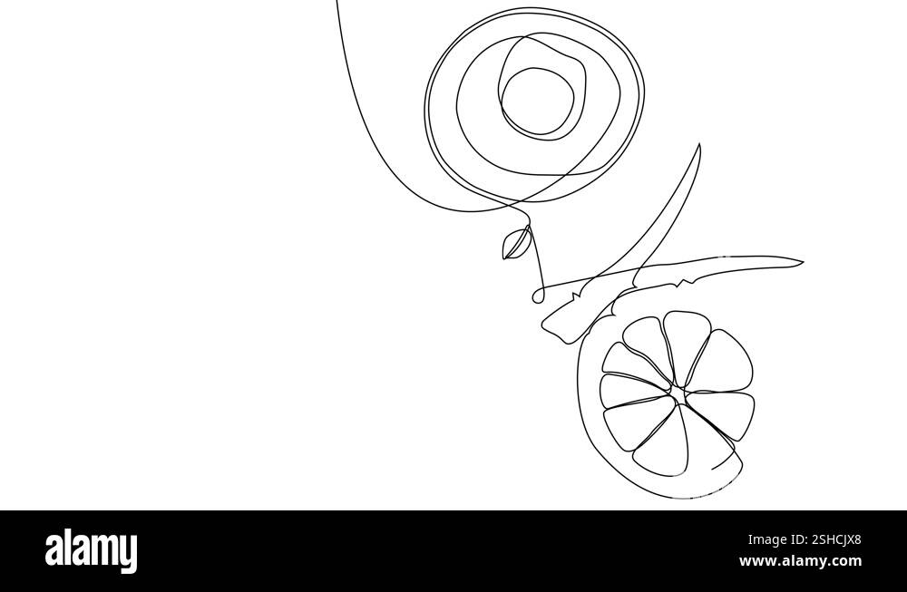 Animated self drawing of natural herbal skin care products Stock Video ...