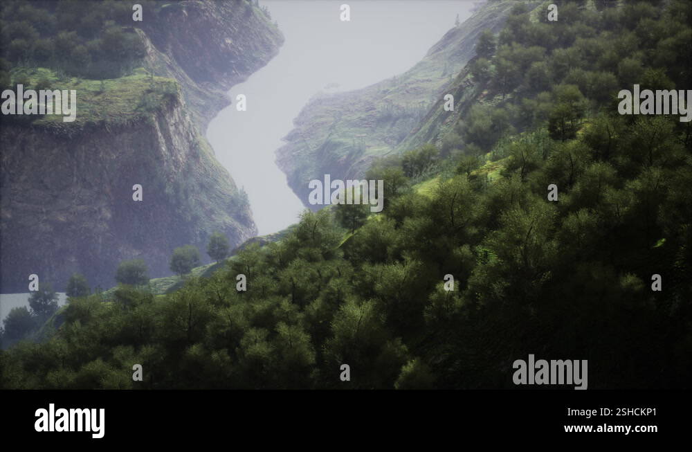 Aerial top view of rainforest ecosystem and healthy environment Stock ...