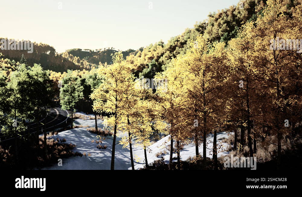 Valley with autumn trees among the mountains lit by the sun at sunset ...