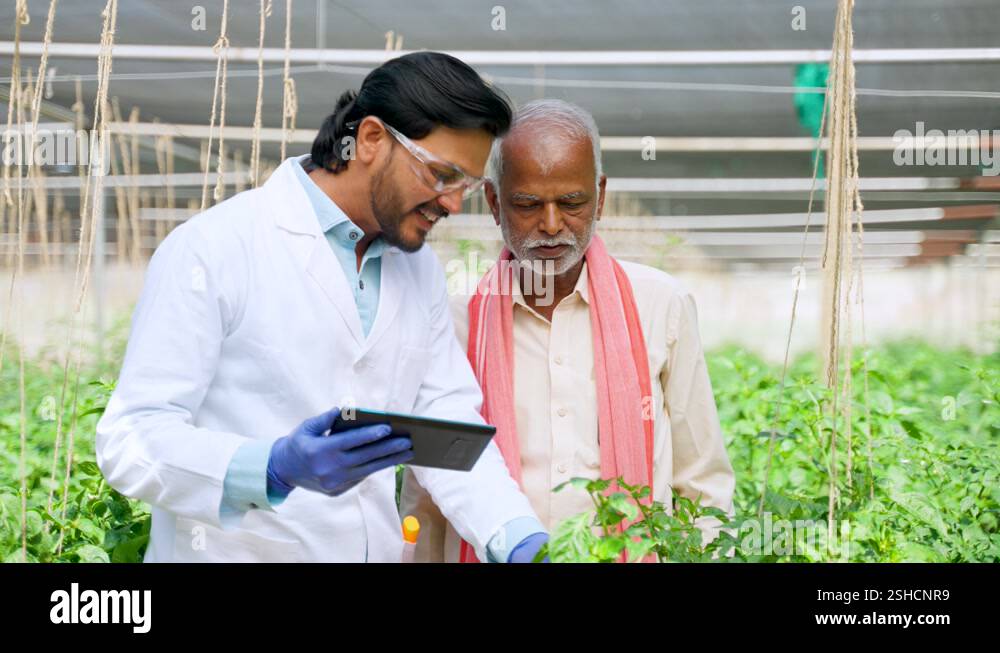 Agro scientist with senior indian farmer explaining from digital tablet at Stock Video Footage ...
