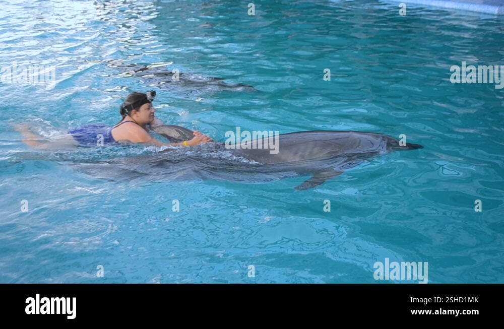 Woman swimming in pool with dolphins. Girl holding fin of dolphin and ...