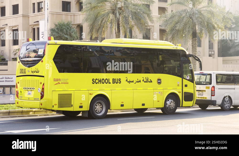 Arabian yellow school bus in traffic waiting for kids in Dubai city ...