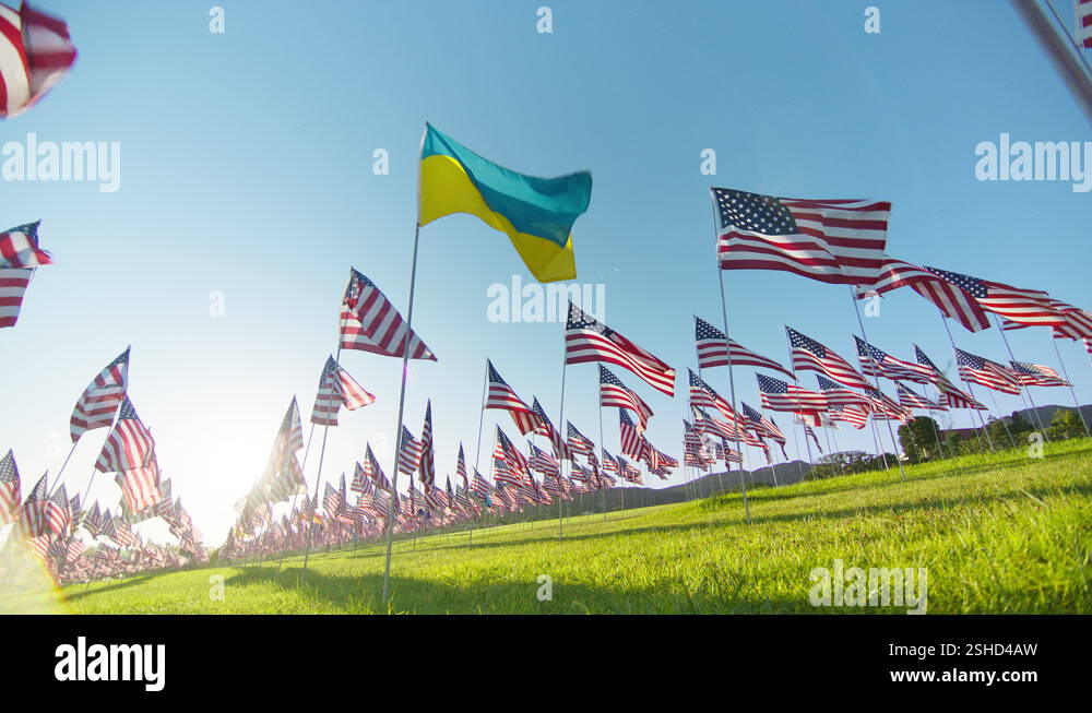 Lend their support Stock Videos & Footage - HD and 4K Video Clips - Alamy