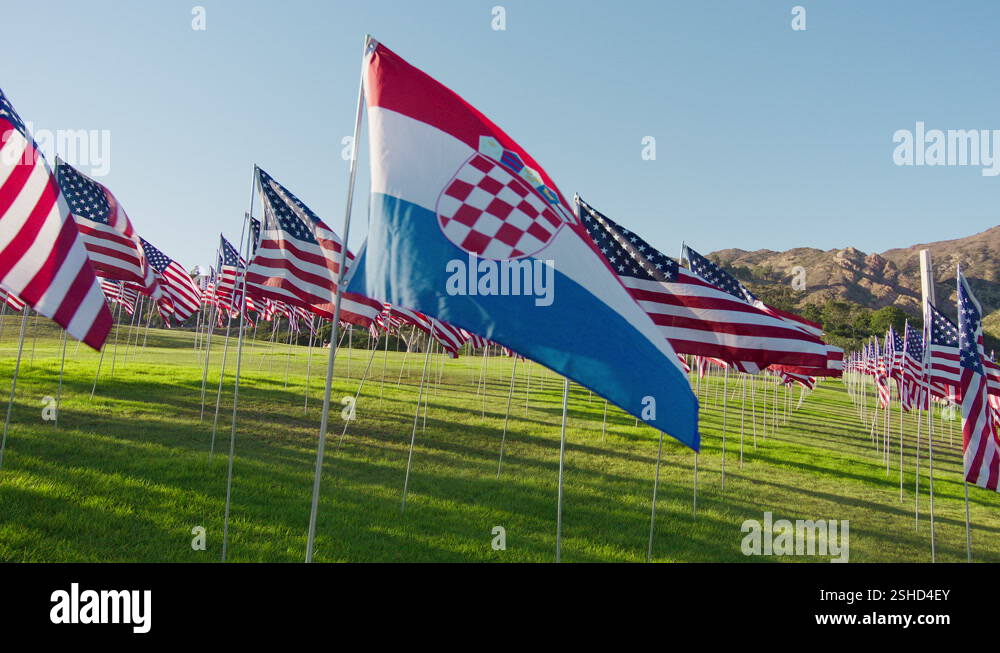 Flag Netherlands flag waving in wind with many American flags, motion ...