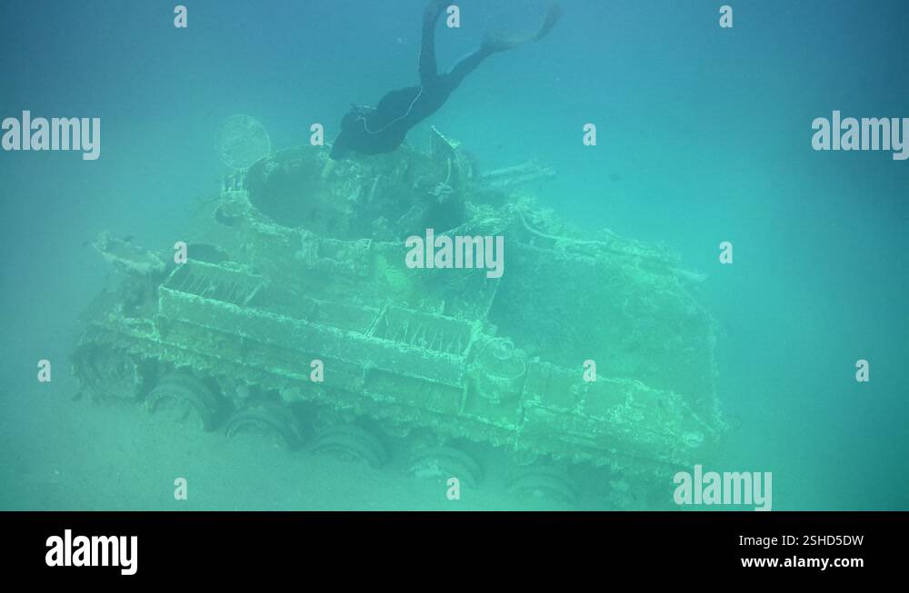 Diving jordan Stock Videos & Footage - HD and 4K Video Clips - Alamy