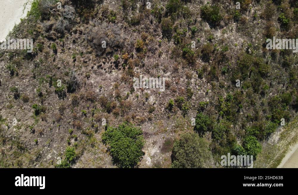 High drone view of Curlew Island, a two-hectare island located on the ...