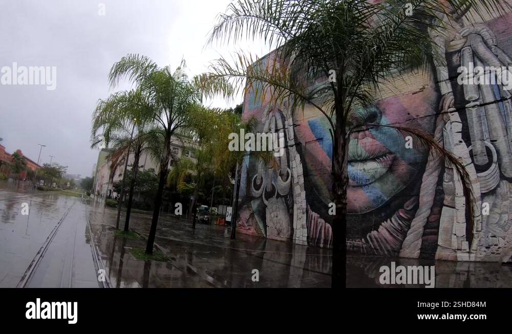 Graffiti on wall palm Stock Videos & Footage - HD and 4K Video Clips ...