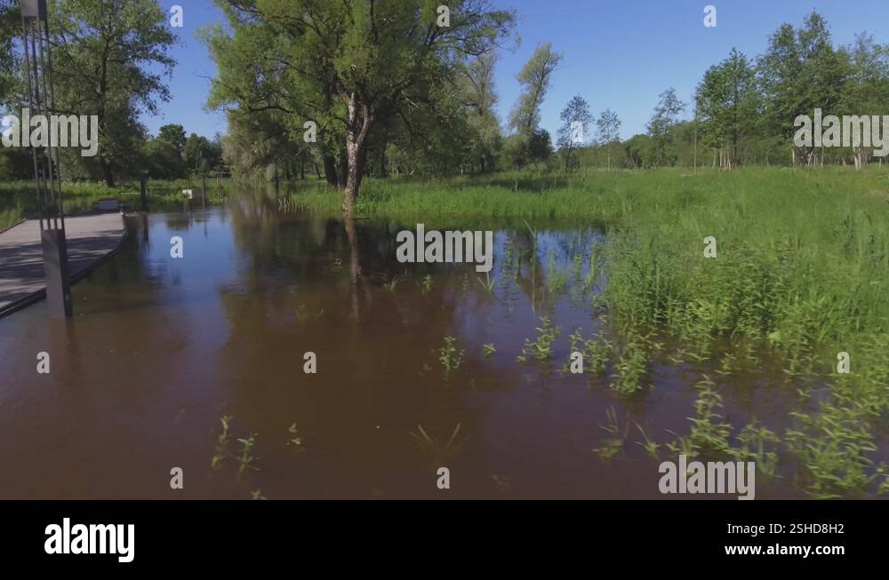 The Flooded River Covered The Winding Wooden Walkway. Low Pull-Away ...