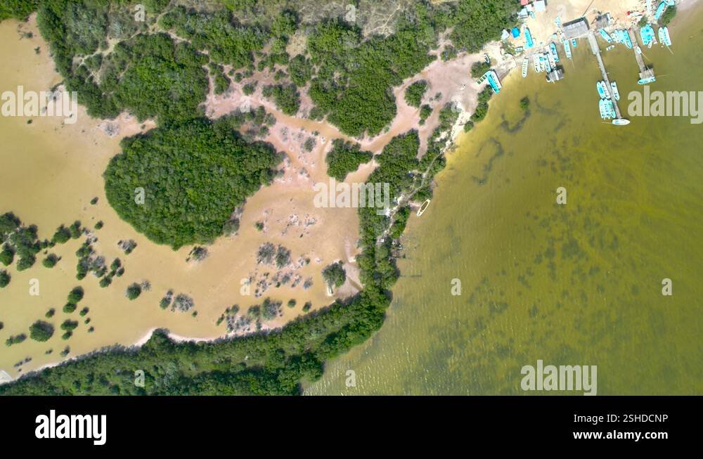 Mangrove swamp yucatan mexico Stock Videos & Footage - HD and 4K Video ...