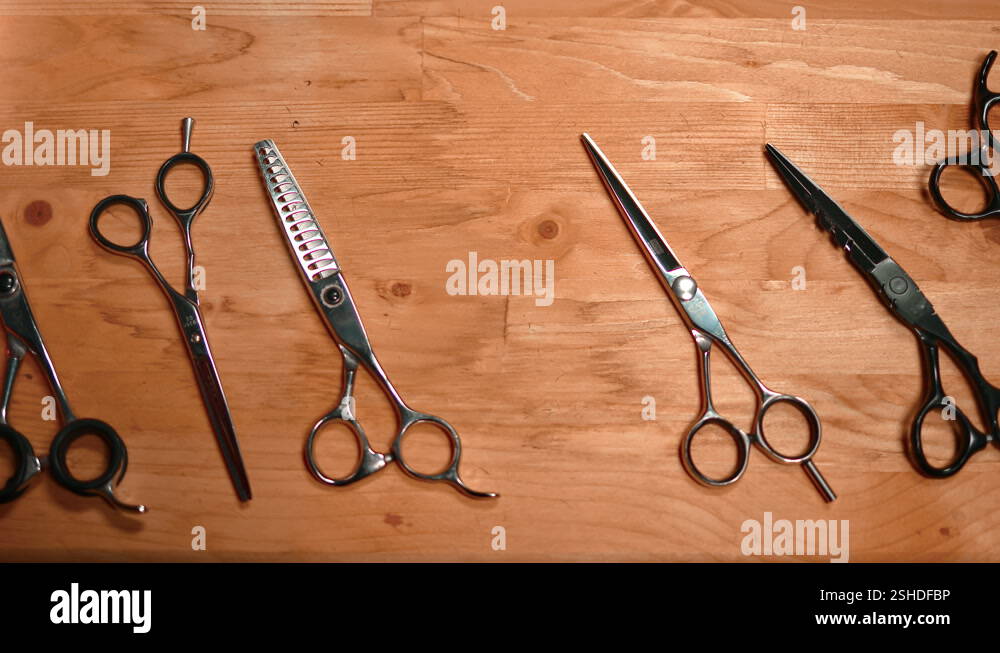 Rubber grooming tool Stock Videos & Footage - HD and 4K Video Clips - Alamy