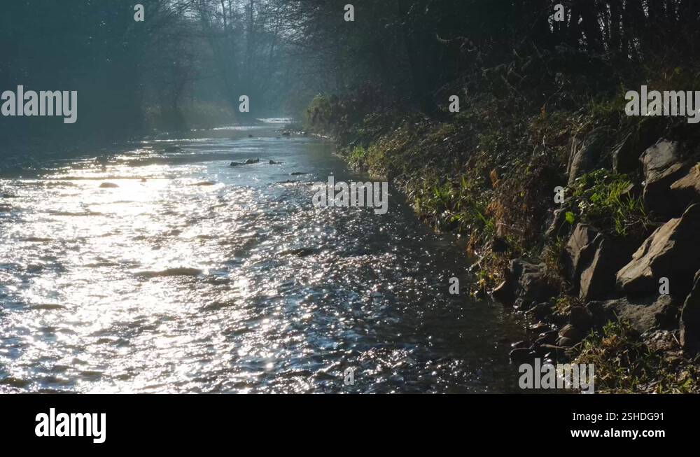 River Rea in Canon Hill Park, Birmingham Stock Video Footage - Alamy
