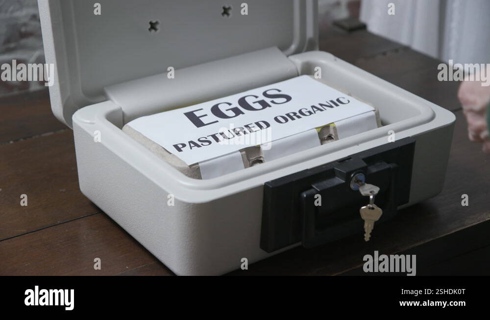 Portable lock box Stock Videos & Footage - HD and 4K Video Clips - Alamy