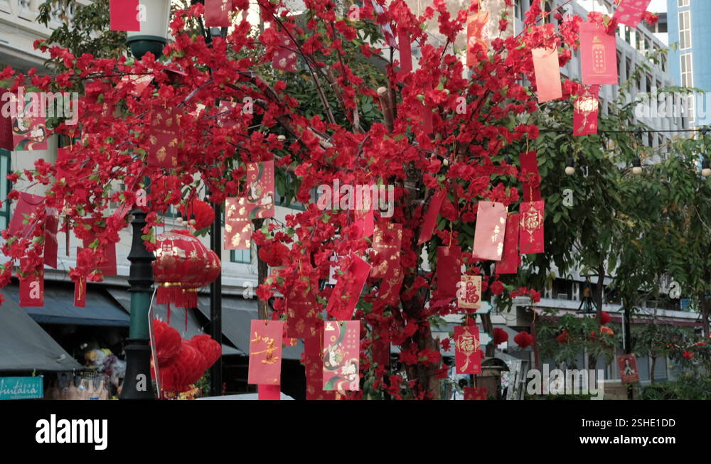 CNY Red Cherry Blossom Tree Chinese New Year Chinatown Bangkok Thailand ...