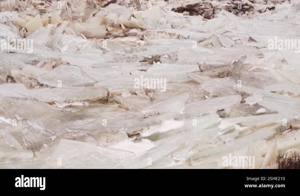 A surging river, swollen with rushing water and massive chunks of ice ...