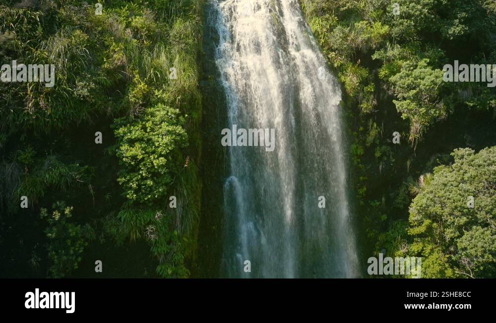 Beautiful waterfall in tropical native rainforest, New Zealand Stock ...
