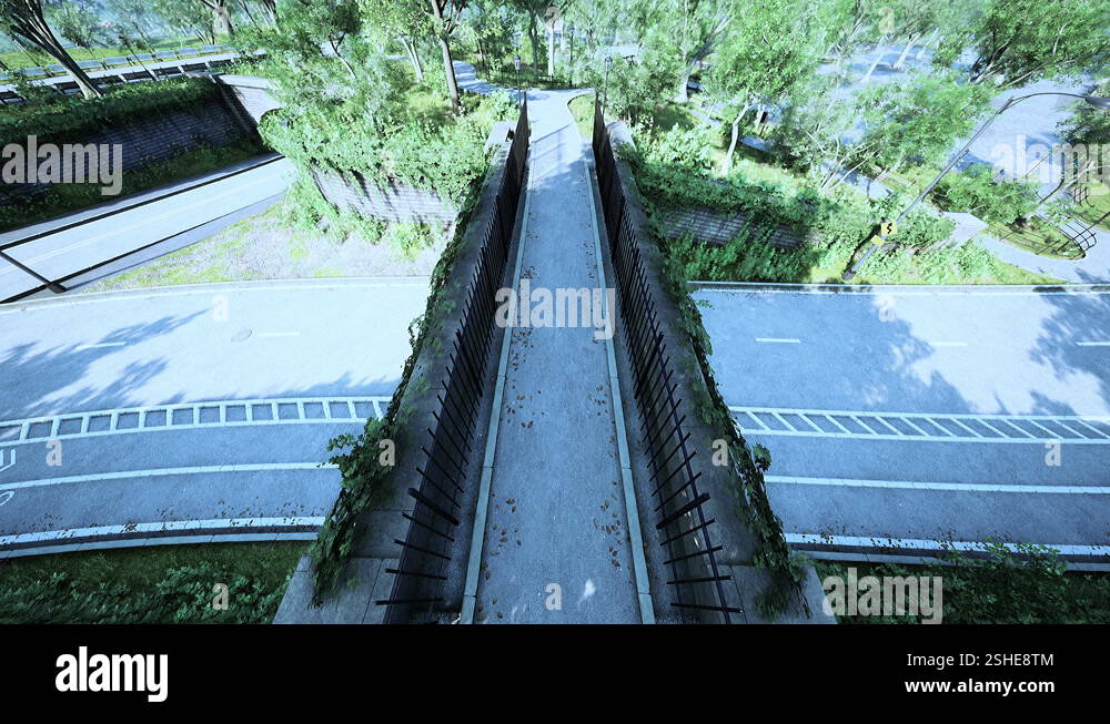 View from the height of the park with a green lawn and paths Stock ...