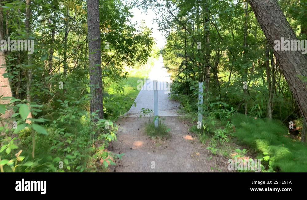 A walk shot in first person through the woods, a long wooden walkway ...