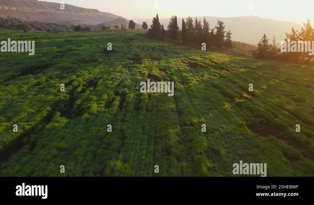 Low level flyover view of landscape at sunset, sun shining through ...